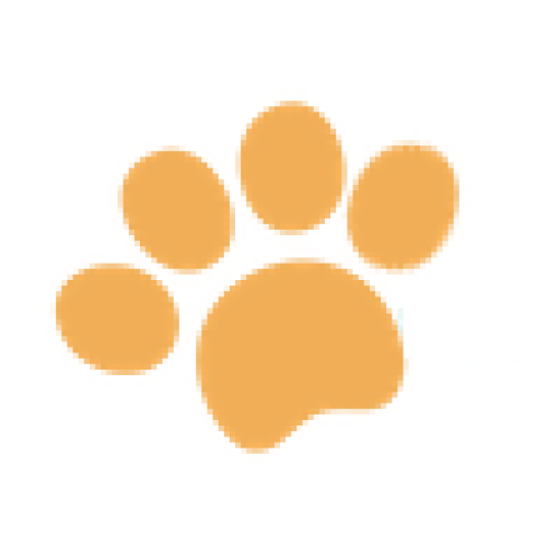 Memorials - Companions Forever